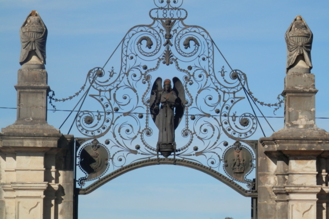 CM de Coimbra promoveu formação profissional certificada para ...